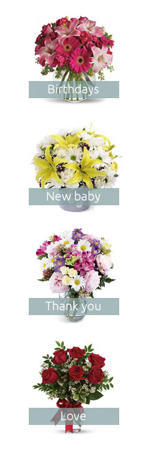 Buffalo Flower Delivery 🏵️ May 2026