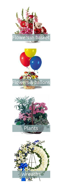Buffalo Flower Delivery 🏵️ May 2026
